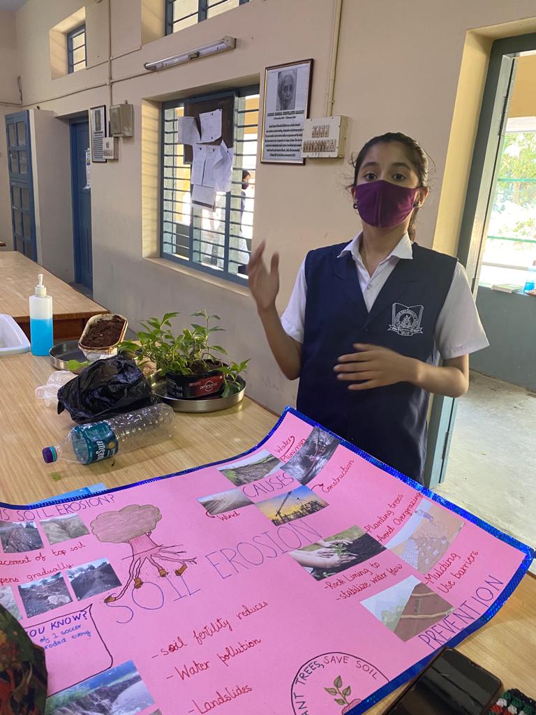 Science Project Models For Class 8